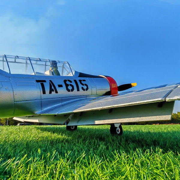 Dynam Hobby RC Radio Controlled Model Airplanes