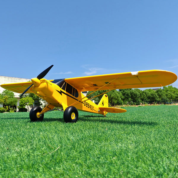 Dynam Hobby RC Radio Controlled Model Airplanes